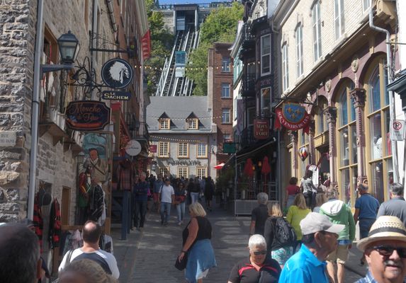 TAXI ALVIN TOURS & SHUTTLE SERVICES - 11 Photos - 1567 Boulevard Jean ...