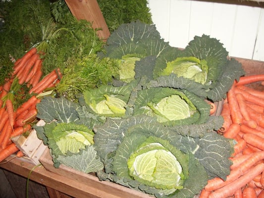 FLOWER FARM SHOP - Updated October 2024 - Oxted Road A25, Godstone ...