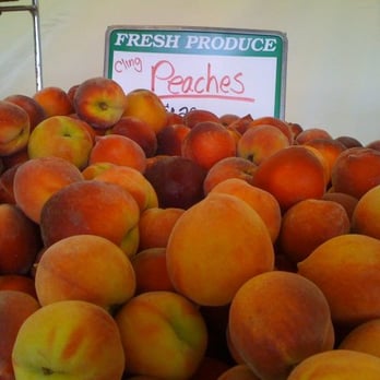 ED LESTER FARMS - Updated December 2025 - 36 Photos - 1165 Hwy 84 E ...