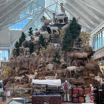 SCHEELS - Updated June 2024 - 1068 Photos & 574 Reviews - 1200 Scheels ...