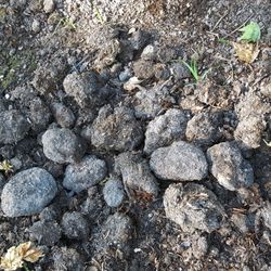 CASCADE ROCK - 47 Photos & 77 Reviews - 8585 Kiefer Blvd, Sacramento ...