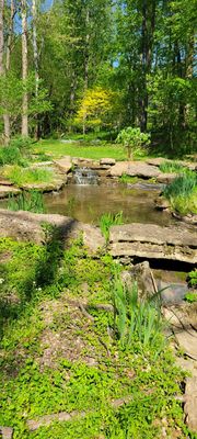 CREASEY MAHAN NATURE PRESERVE - Updated January 2026 - 83 Photos & 21 ...