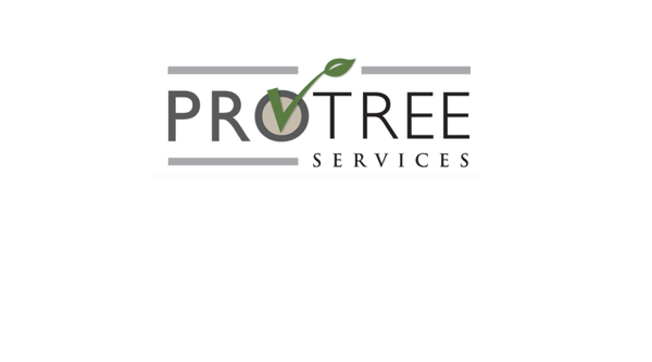PRO TREE SERVICES - Updated December 2025 - 20 Photos & 26 Reviews - 14 ...