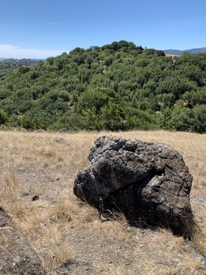 MT. BURDELL OPEN SPACE PRESERVE - 163 Photos & 41 Reviews - Hiking ...