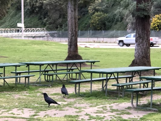 BROOKSIDE PARK - 194 Photos & 95 Reviews - 360 N Arroyo Blvd, Pasadena ...