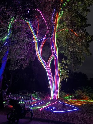 LIGHTSCAPE SAN DIEGO - Updated November 2024 - 189 Photos & 38 Reviews ...