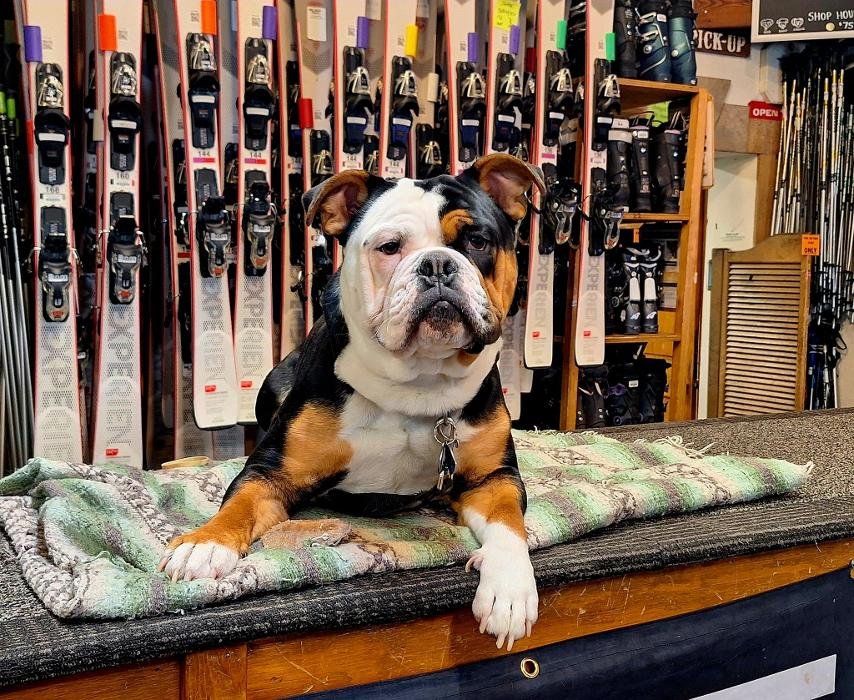 VAIL SKI TECH - Updated September 2025 - 34 Photos & 64 Reviews - 555 E ...