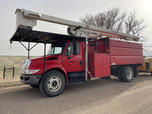 WITT 360 TREE SERVICE - Updated August 2025 - Request a Quote - 51 ...