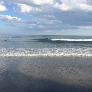 HIGGINS PUBLIC BEACH - 60 Photos & 18 Reviews - Beaches - Bayview Ave ...