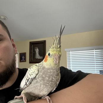 MAGNOLIA BIRD FARM - Updated December 2025 - 155 Photos & 207 Reviews ...