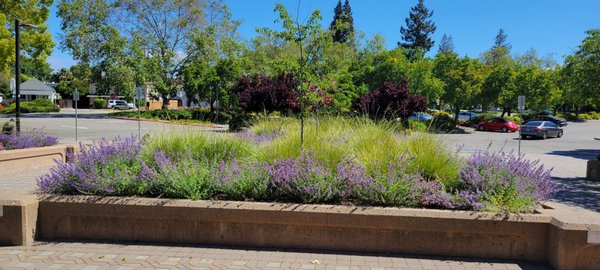 PLEASANTON LIBRARY - Updated October 2025 - 150 Photos & 105 Reviews ...