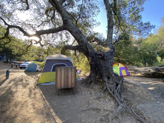 LIVE OAK CAMPGROUND - Updated October 2025 - 2675 Mt Diablo Scenic Blvd ...