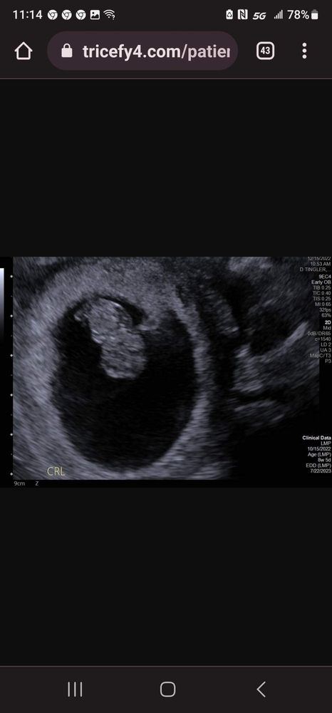 BAILEYS CONSTRUCTION - Updated July 2024 - Scarbro, West Virginia ...