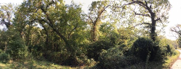 AMITY WOODS NATURE PARK - Updated September 2025 - 10 Photos - N Amity ...