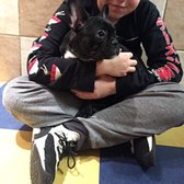 ALL PETS CLUB - Updated December 2025 - 69 Photos & 63 Reviews - 479 E ...