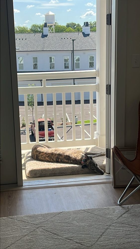 WATER TOWER DISTRICT AT SCHILLING FARMS - Updated September 2025 - 1371 ...