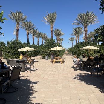 THE LEMON GROVE - Updated January 2026 - 63 Photos & 34 Reviews - 4200 ...