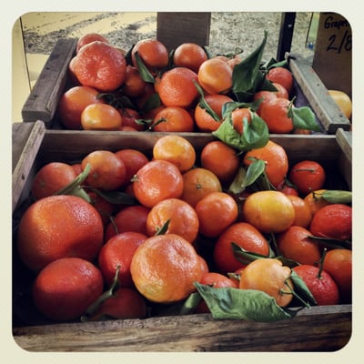 THE VEGETABLE MAN PRODUCE - Updated December 2025 - 13 Photos & 34 ...