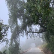 MURPHY RANCH PARK - 186 Photos & 45 Reviews - Hiking - 16200 Las ...