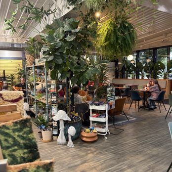 CAFE AQUI - Updated December 2025 - 158 Photos & 39 Reviews - 1811 2nd ...