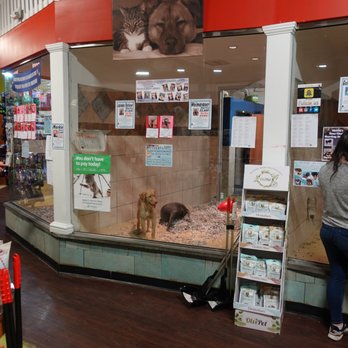 ALL PETS CLUB - Updated October 2025 - 49 Photos & 59 Reviews - 1167 N ...