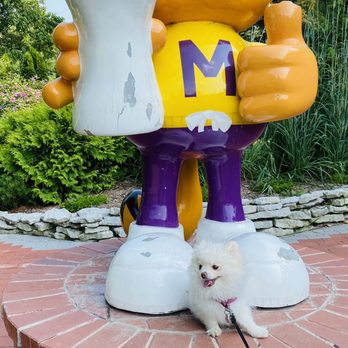 MATTER PARK - Updated July 2025 - 37 Photos - 1701 N Matter Park Rd ...