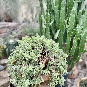 ABCINEMA - Updated December 2025 - 130 W Monroe St, Decatur, Indiana ...