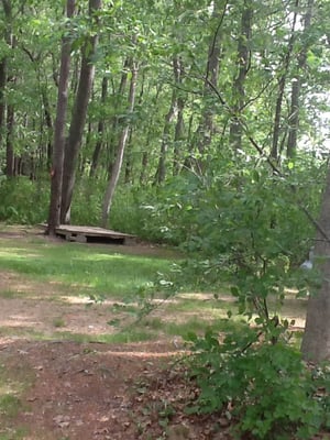 PINES CAMPING AREA - Updated July 2024 - 27 Photos & 25 Reviews - 28 ...