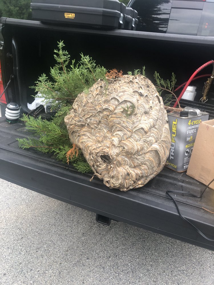 MODERN EXTERMINATING & TERMITE CONTROL - Updated December 2025 - 24 ...