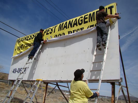 PROGRESSIVE PEST MANAGEMENT - Updated May 2026 - 61 Photos & 37 Reviews ...