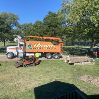 HOMER TREE CARE - Updated December 2025 - 27 Photos & 40 Reviews ...