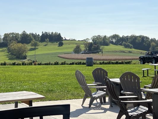 SETTER RIDGE VINEYARDS - Updated March 2025 - 71 Photos & 38 Reviews ...