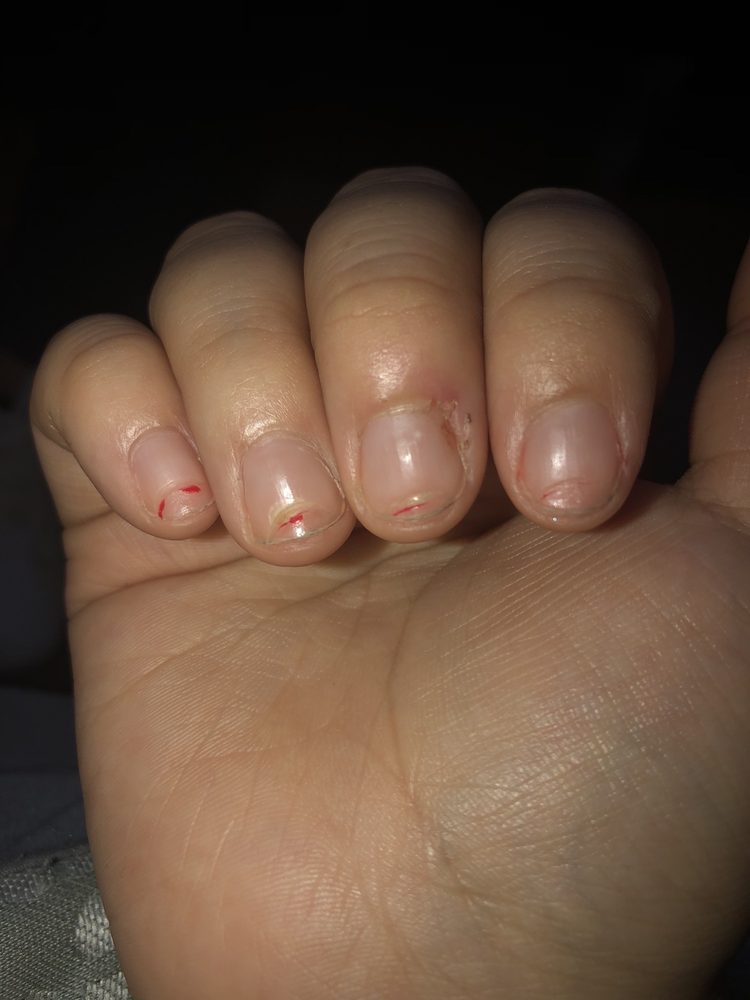 BEAUTY NAILS - 120 Photos & 68 Reviews - 1 Bellis Fair Pkwy, Bellingham ...