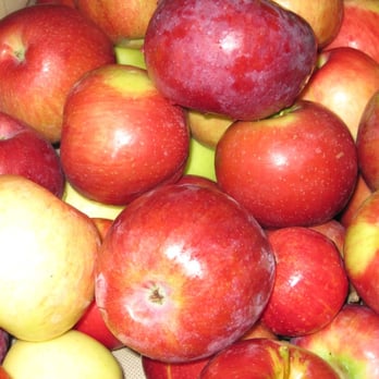 COUNTRY APPLE ORCHARD - Updated October 2025 - 130 Photos - 27249 Sd ...