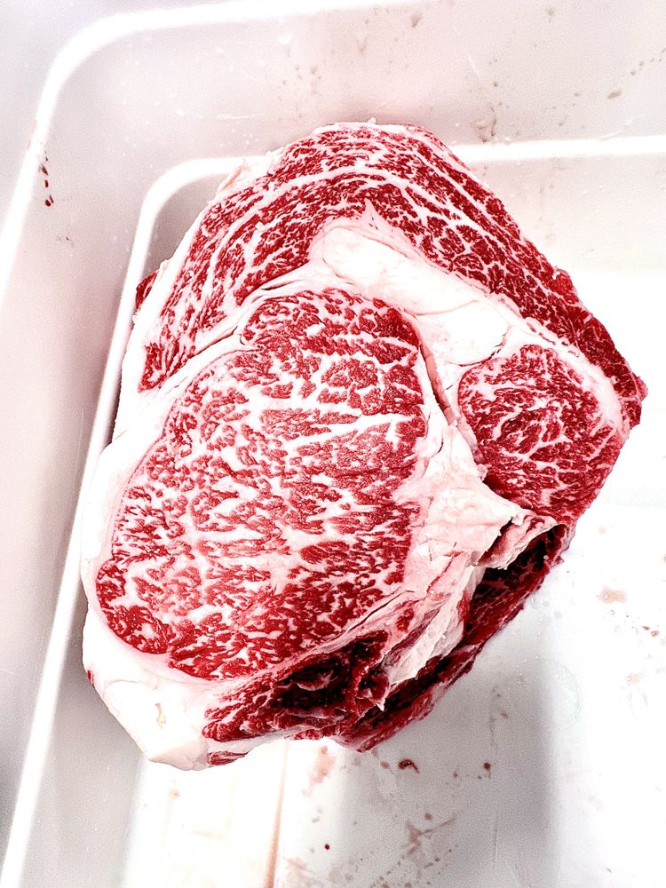 RUTLEDGE RYAN RANCH - Updated October 2025 - 28 Photos - 712 E Bewley ...