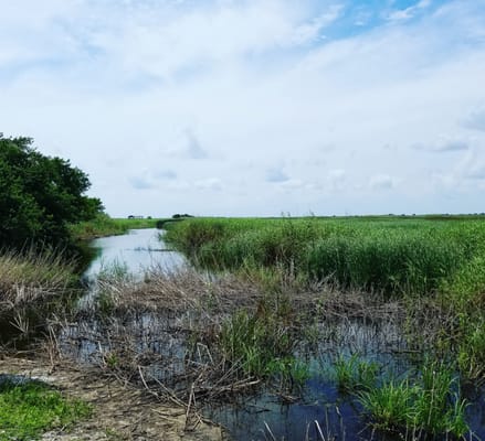 SABINE NATIONAL WILDLIFE REFUGE - Updated May 2026 - 13 Photos - 3000 ...