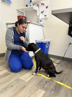 ALOHA AFFORDABLE VETERINARY SERVICES - Updated September 2025 - 126 ...