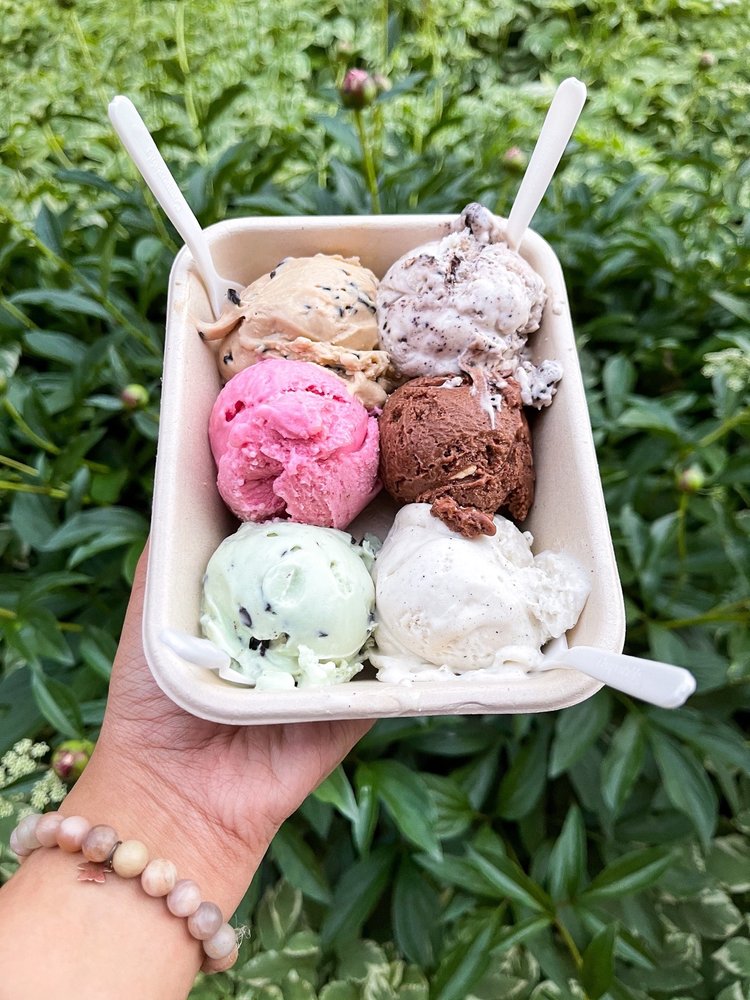 GELATO BOY - 220 Photos & 257 Reviews - 1433 Pearl St, Boulder, CO ...