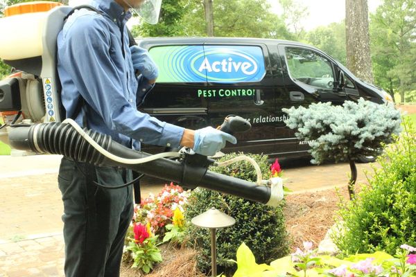 ACTIVE PEST CONTROL - Updated December 2025 - 21 Photos & 57 Reviews ...