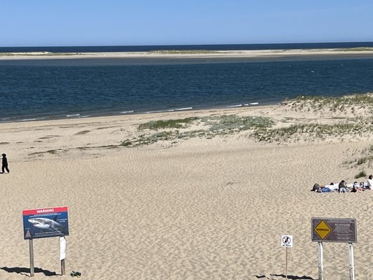 CHATHAM LIGHTHOUSE BEACH - Updated August 2025 - 132 Photos & 34 ...