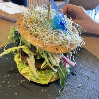 TASTY EXPERIENCE BISTRO - Updated September 2024 - 72 Photos & 19 ...