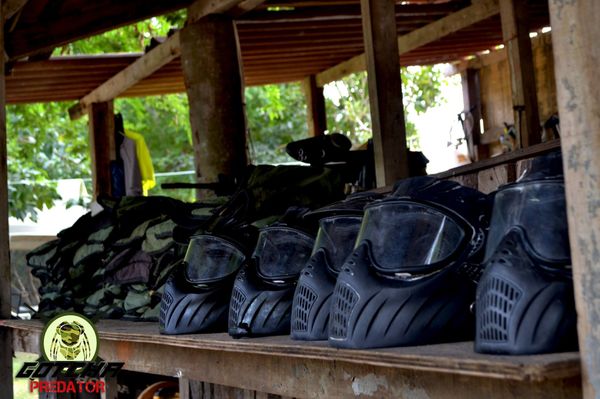 GOTCHA PREDATOR - Updated September 2024 - Carretera Tepic - Puerto ...