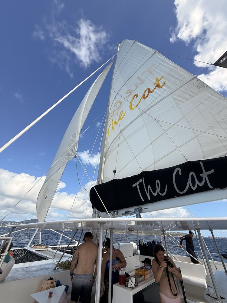 THE VI CAT - Updated December 2025 - 168 Photos & 100 Reviews - 7338 ...