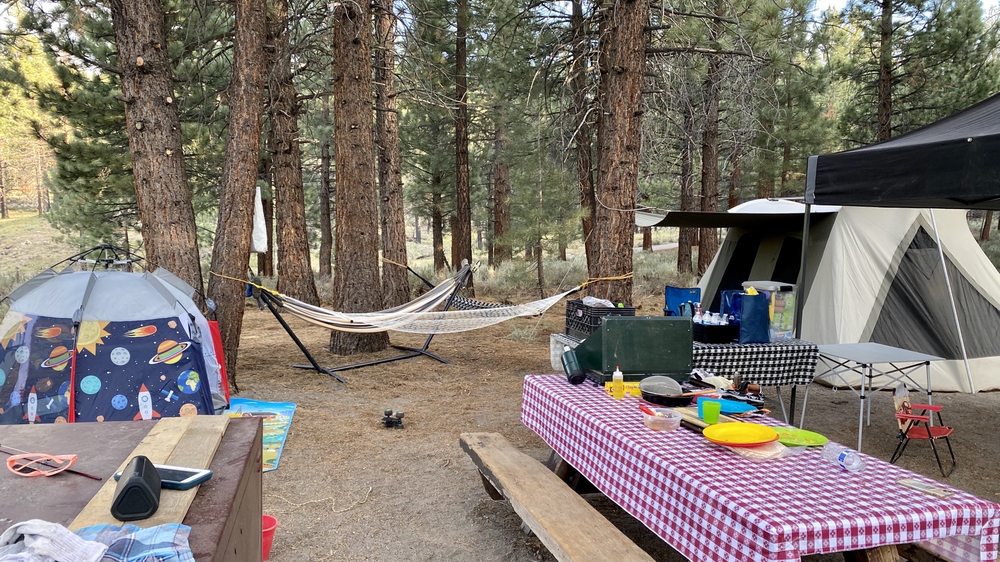 Big Springs Campground Updated June 2026 Owens River Rd Mammoth