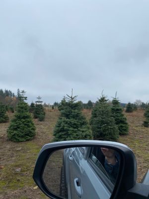 FURROW FARM - TEMP. CLOSED - Updated January 2026 - 80 Photos & 55 ...