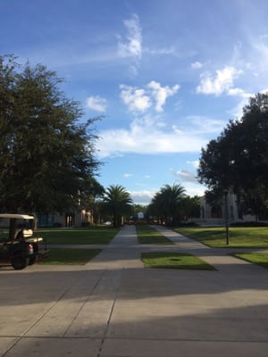 SAINT LEO UNIVERSITY - Updated January 2026 - 43 Photos & 13 Reviews ...
