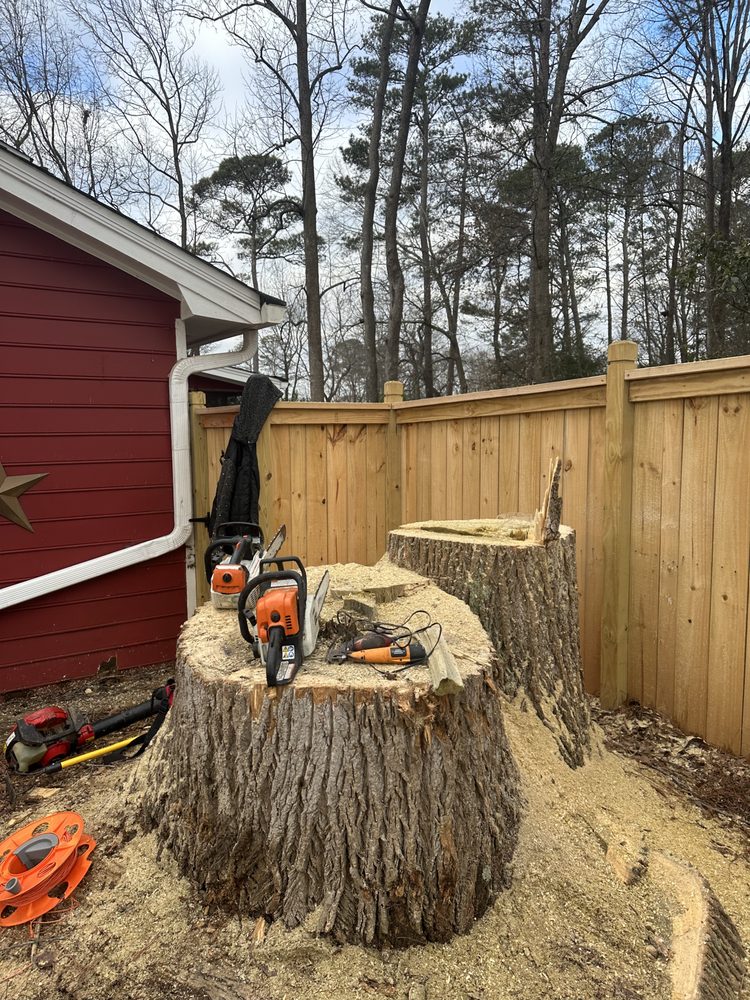 BILL’S TREE SERVICES AND HOME IMPROVEMENTS - Updated December 2025 - 24 ...