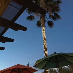 C.R. GIBBS AMERICAN GRILLE - Updated January 2026 - 336 Photos & 392 ...