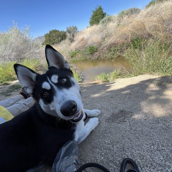 High Desert Animal Care Hospital - Updated May 2026 - 47 Photos & 206 ...