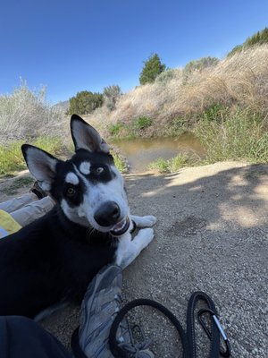 HIGH DESERT ANIMAL CARE HOSPITAL - Updated January 2026 - 47 Photos ...